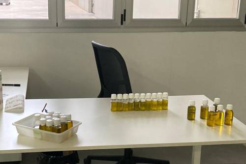 11 olive oil counterfeiters arrested following Operation OPSON ...