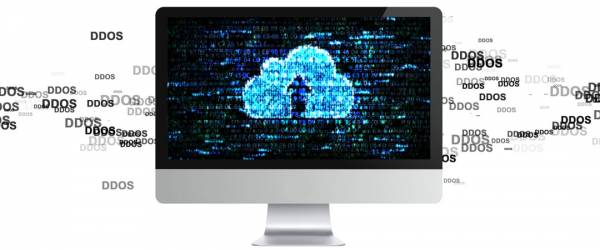 Joint international operation targets young users of DDoS cyber-attack ...