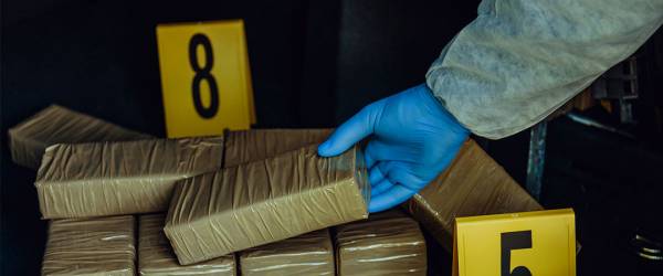 Intelligence-led taskforce leads to seizures of nearly 11 tonnes of ...