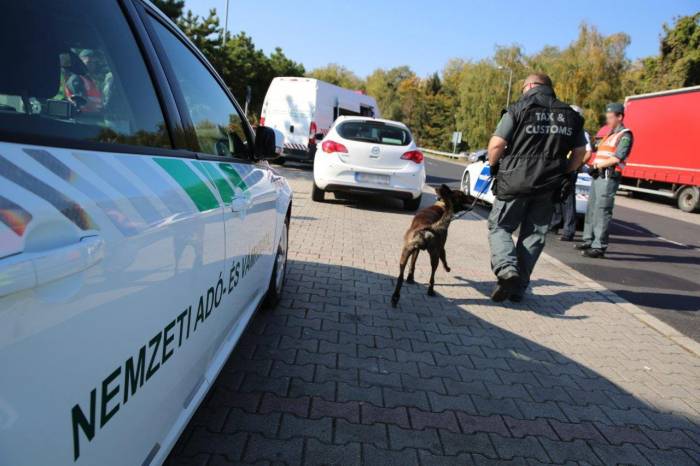 320 tonnes of potentially dangerous dairy products taken off the market ...