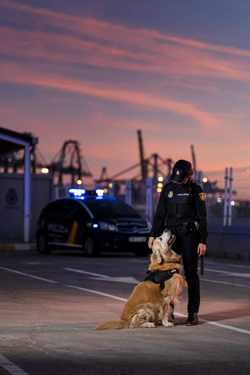 Capture 2022: Calling all law enforcement photographers! | Europol