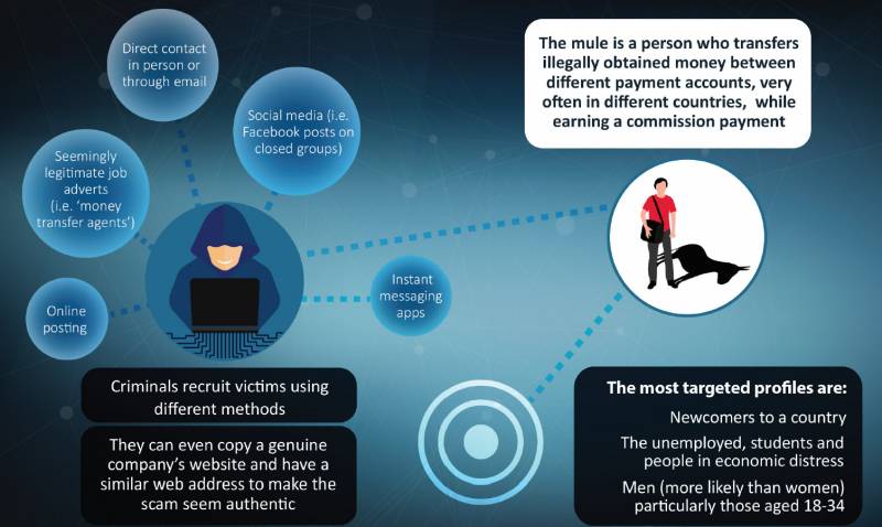 Money Muling – More than 90% of money mule transactions identified ...