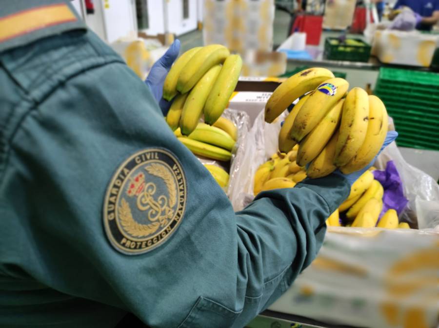 European Financial and Economic Crime Centre - EFECC | Europol