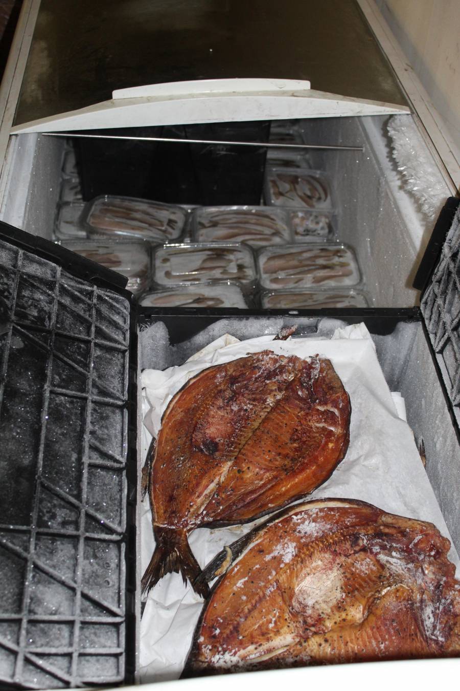 320 tonnes of potentially dangerous dairy products taken off the market ...