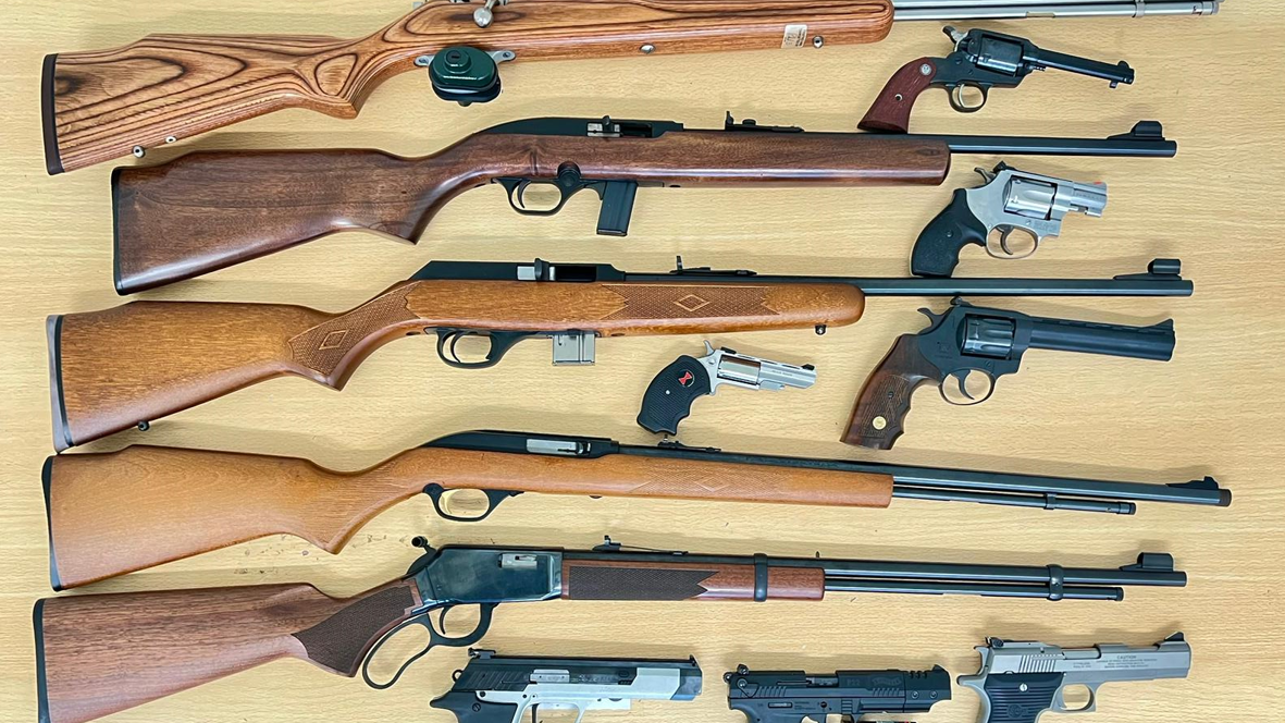 Almost 1 400 firearms removed from circulation in 16 European countries ...