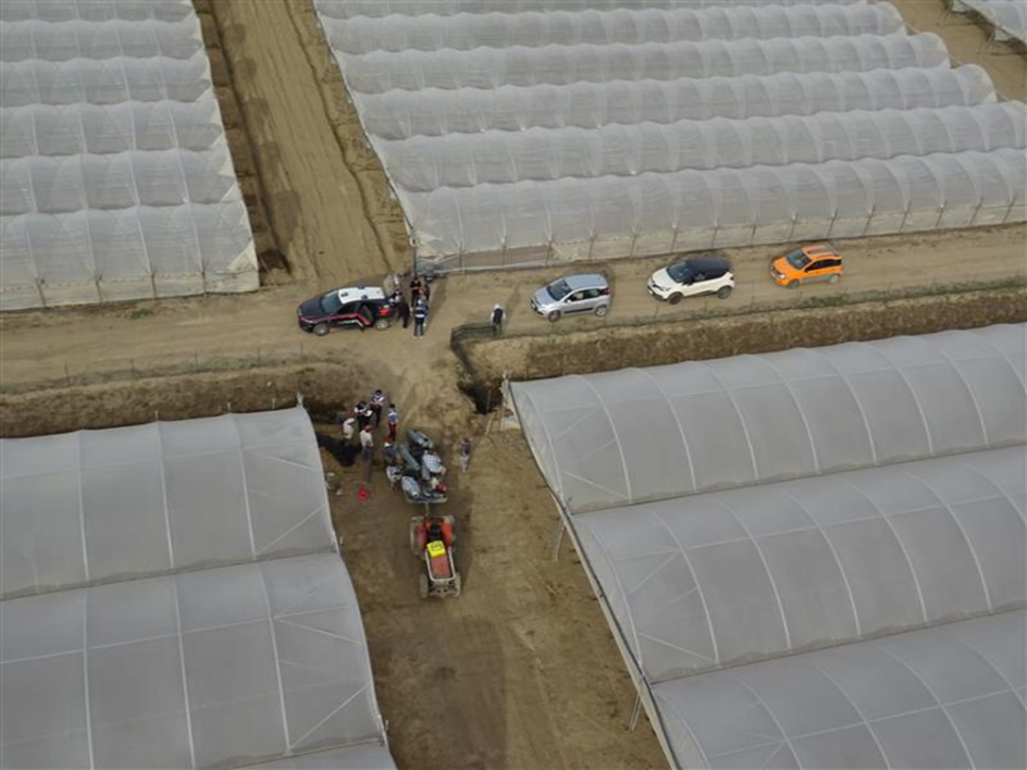 38 arrests in action against agricultural labour exploitation – Europe ...