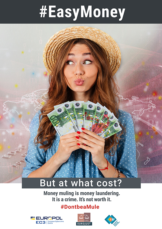 228 arrests and over 3800 money mules identified in global action ...